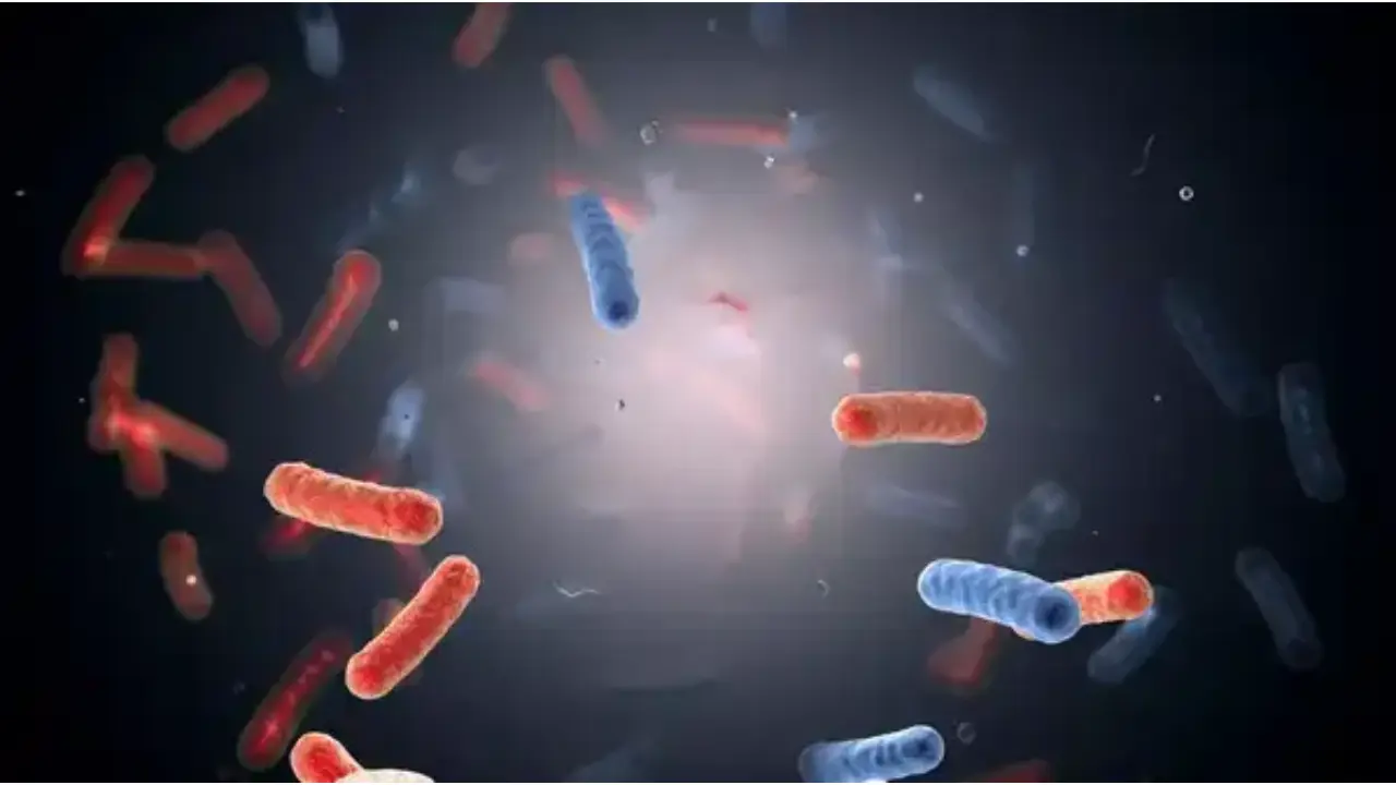 This bacteria found at NASA may help future space missions!