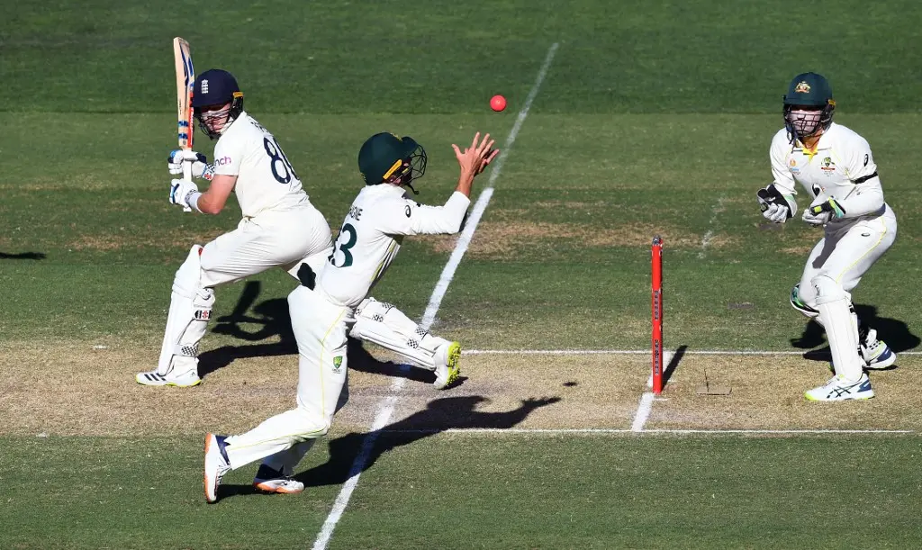 You won’t believe these 13 ways a batter can get out in cricket: No.11 ...