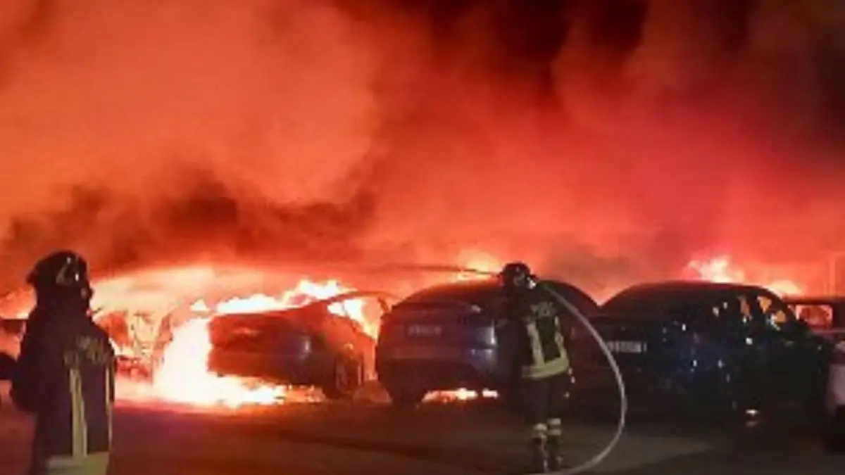 'Burn a Tesla, save democracy': Police investigate possible arson after ...