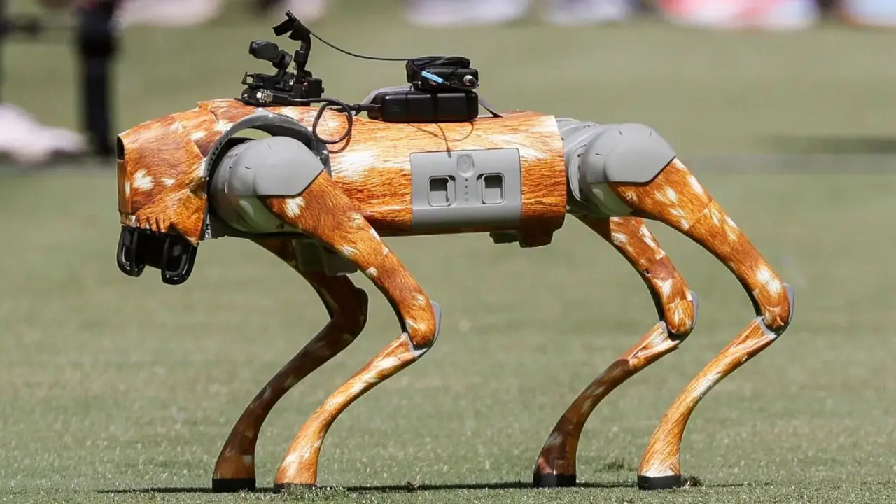IPL 2025: Who is Champak? Meet the adorable robot dog winning hearts on ...