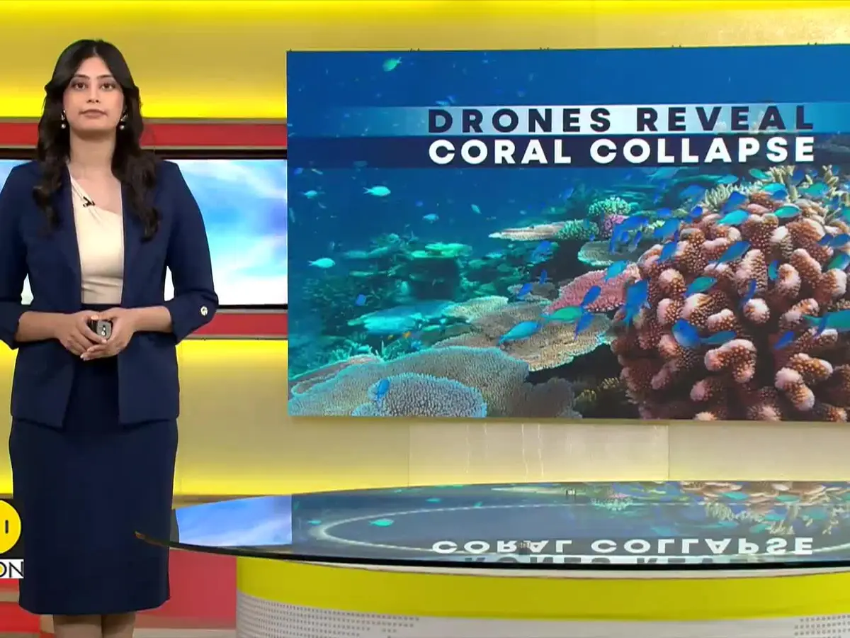 Coral crisis uncovered with tech