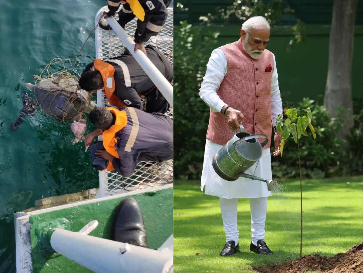 World Environment Day: PM Modi plants Sindoor sapling, Indian Coast ...