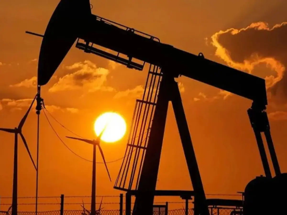 'Guyana dug 46 dry wells before oil was found in 47th': Hardeep Puri ...
