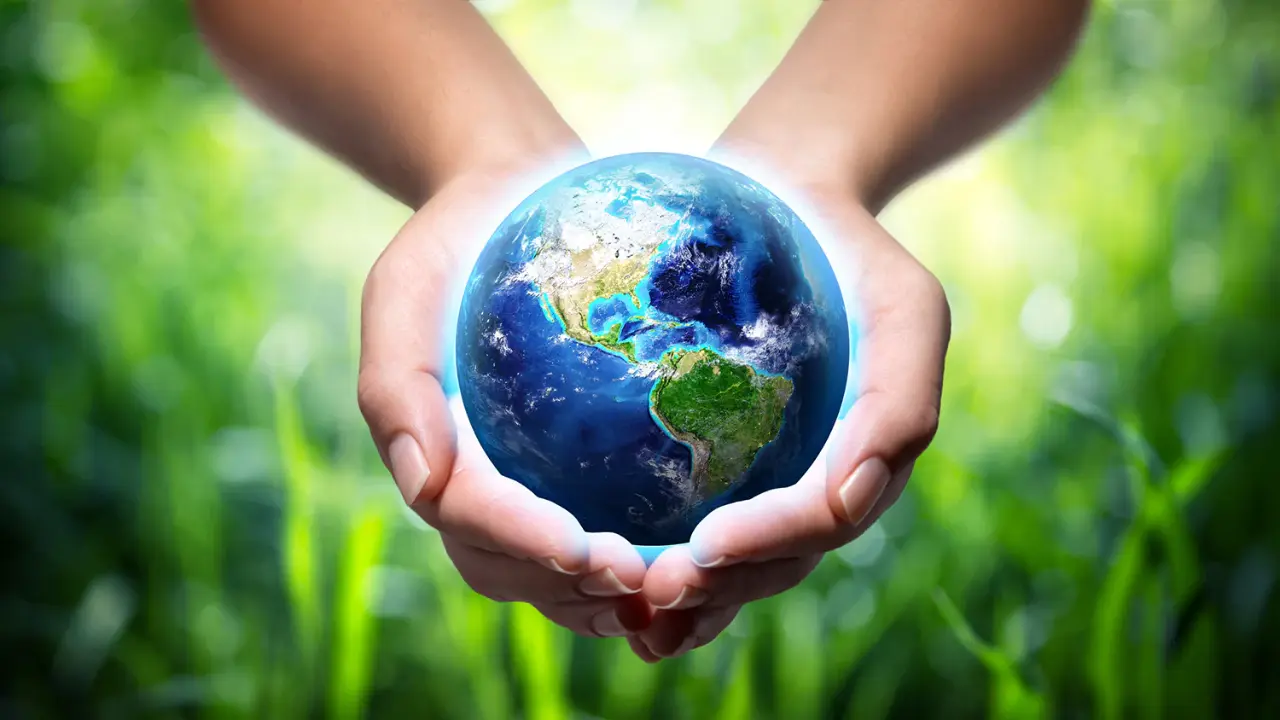 7 easy steps to combat climate change everyone can take