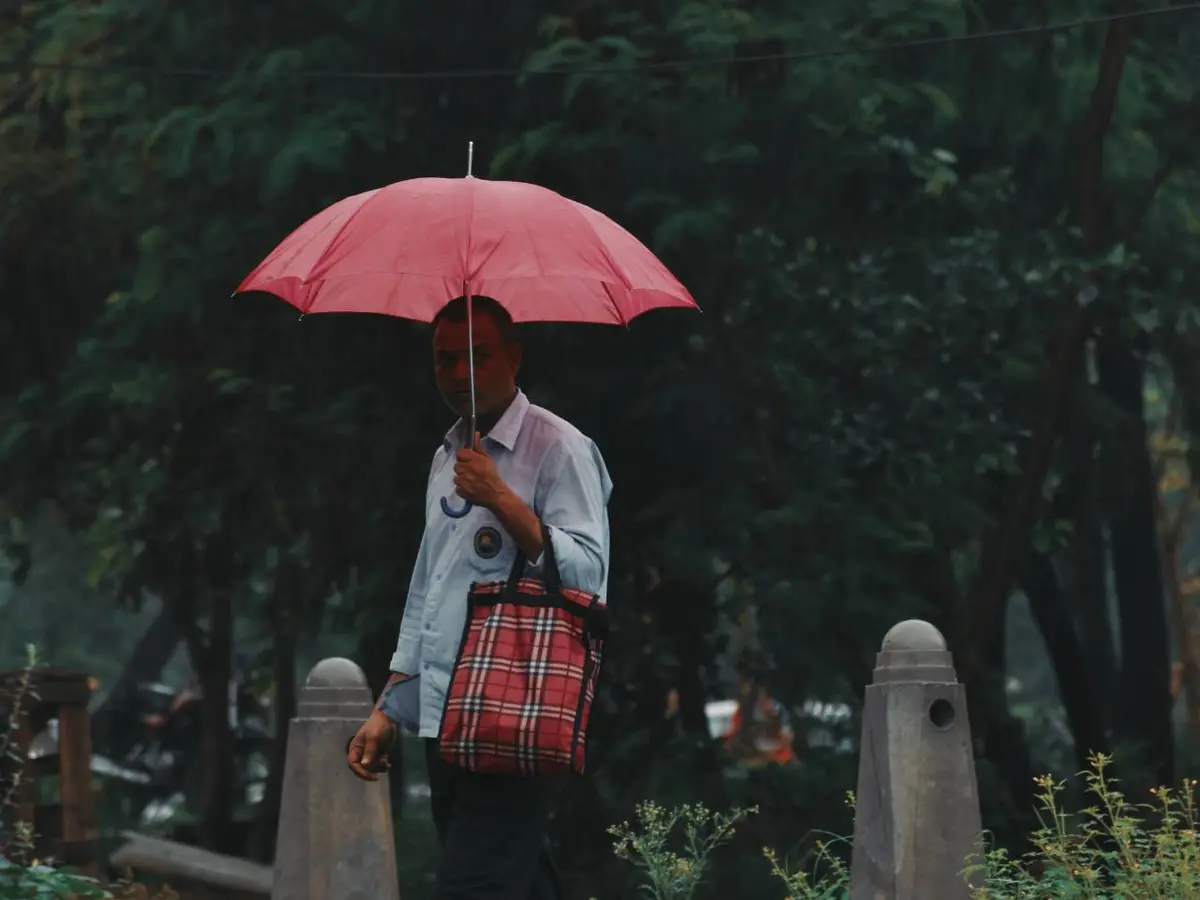 Delhi finally welcomes monsoon showers; rainy season covers entire ...