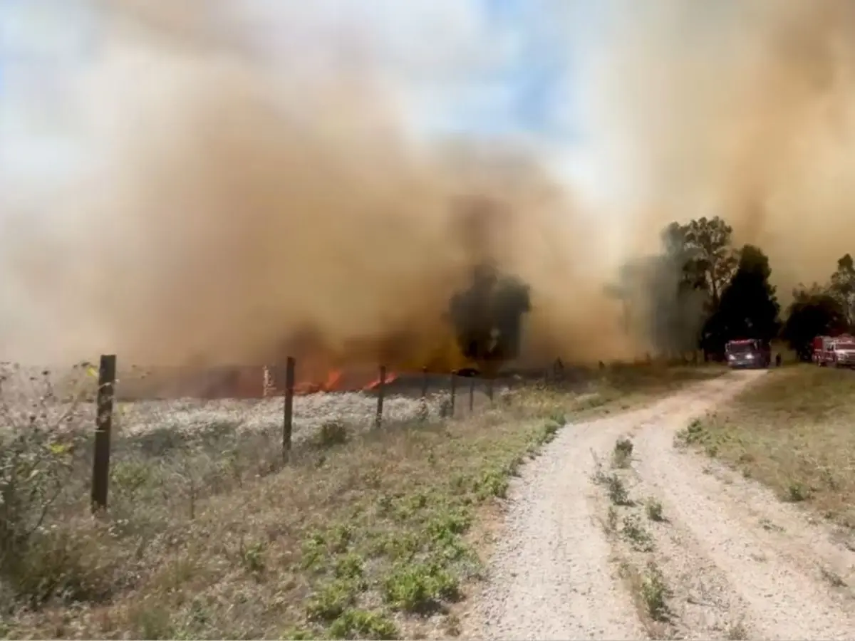 California wildfire: Juniper, wolf and lake fire among a dozen in 72 hours