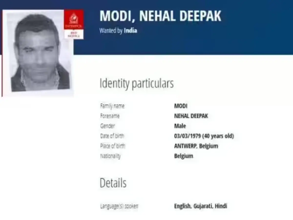 Who is Nehal Modi? Why the US authorities arrested him?
