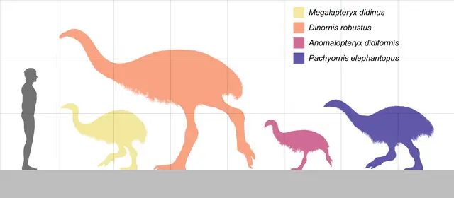 Scientists who 'de-extincted' dire wolf now want to bring back from ...