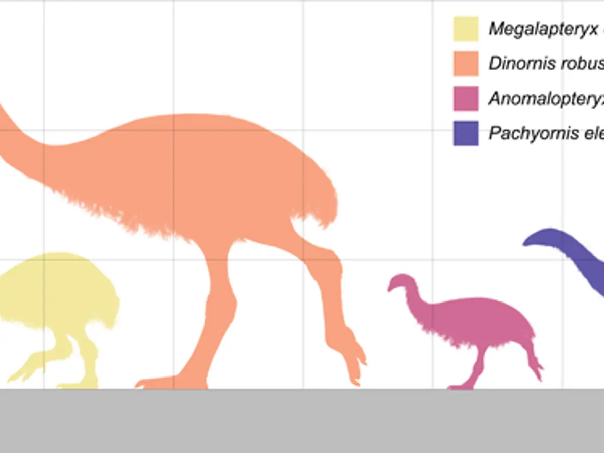 Scientists who 'de-extincted' dire wolf now want to bring back from ...