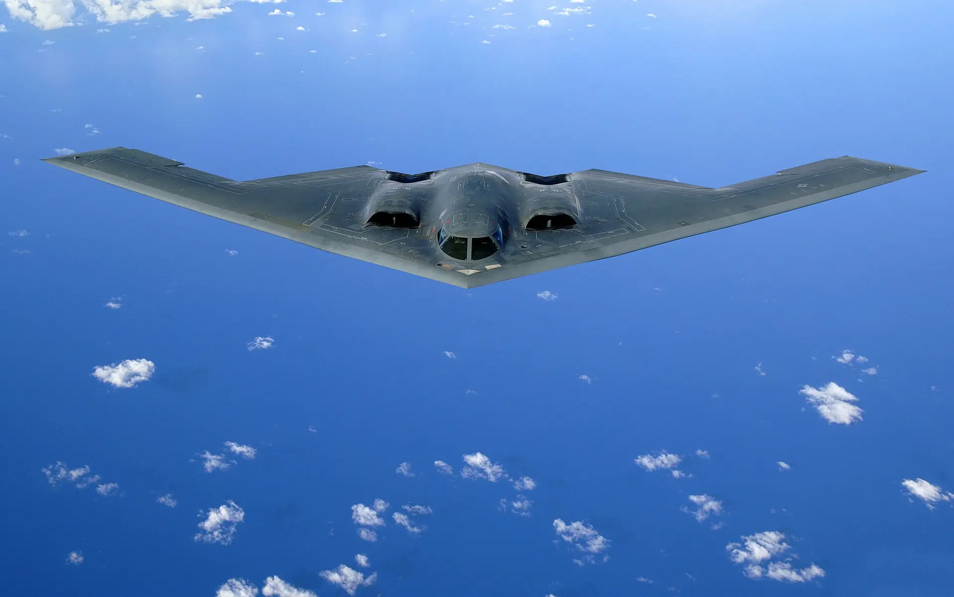 Nature's inspiration: How birds helped design the fighter jet