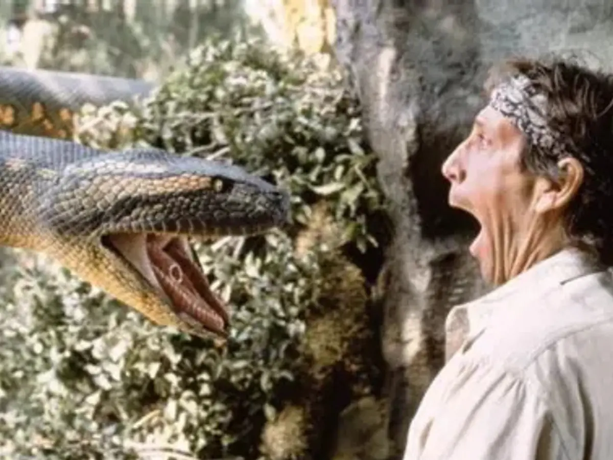 Best movies based on deadly snakes - Anaconda to Snakes on a Plane