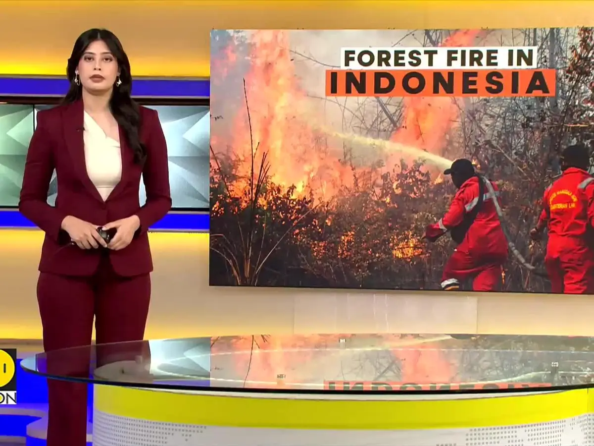 Indonesian authorities say haze from Sumatra forest fires detected in Malaysia