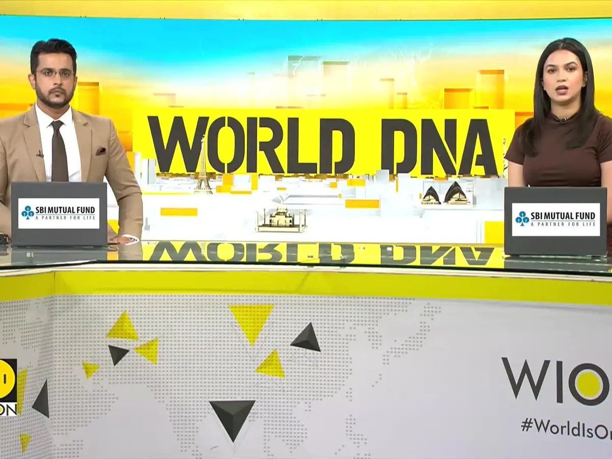 Pakistan: 1000 kg of unhygienic donkey meat seized in Islamabad