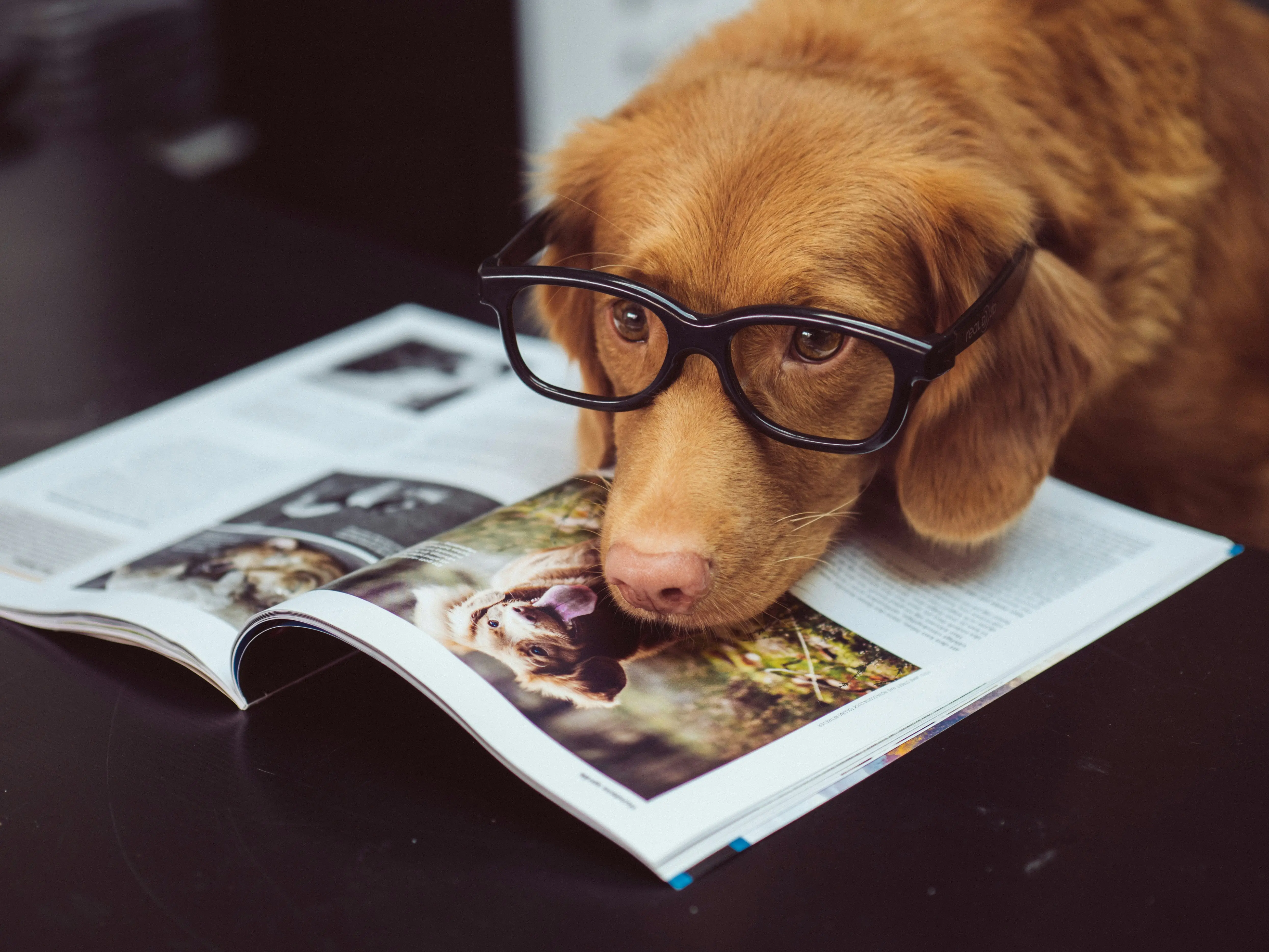 THESE animals can detect natural disasters before they strike | IN PICS