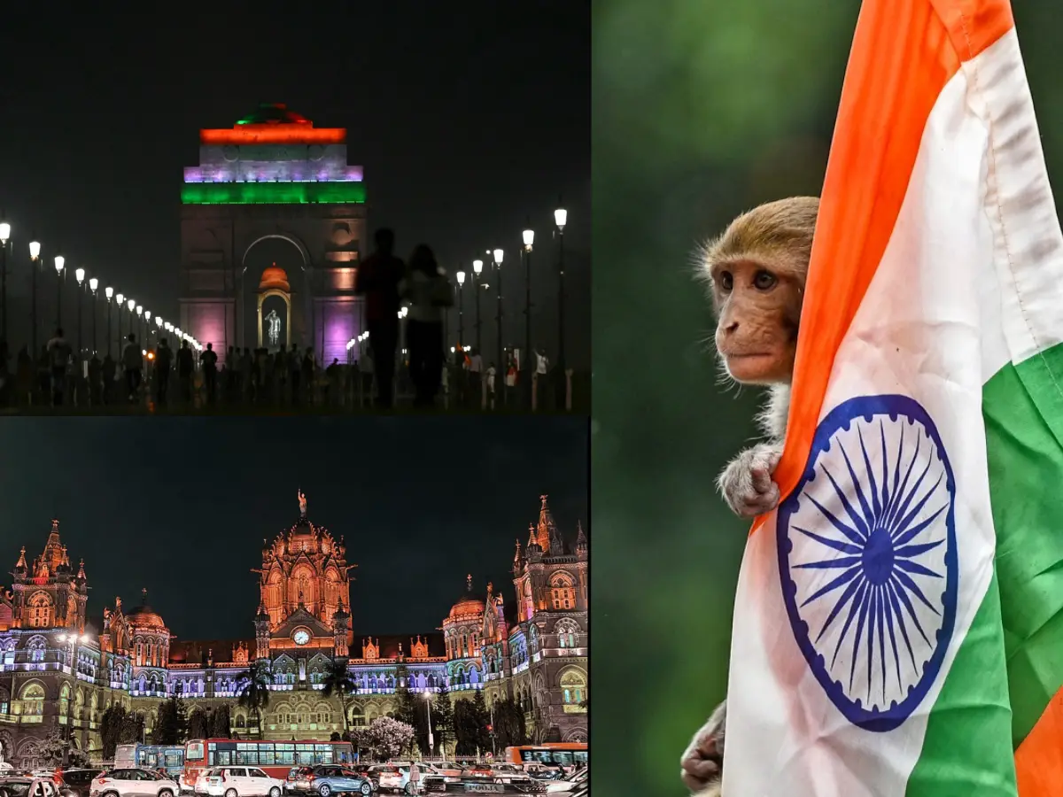 India celebrates Independence Day: Stunning Tricolour illuminates ...