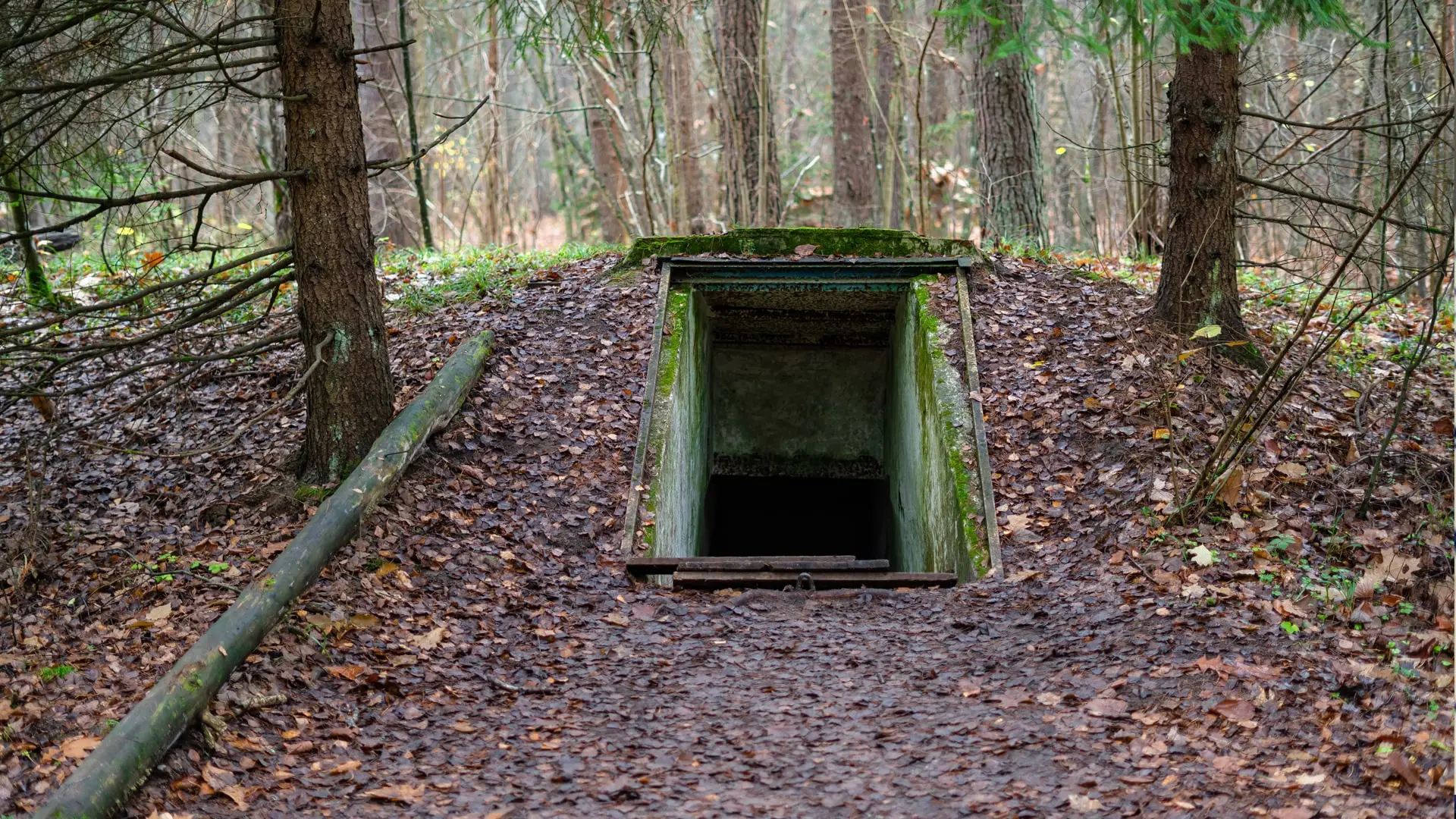 5 of the world’s most secure bunkers that are nearly impossible to breach