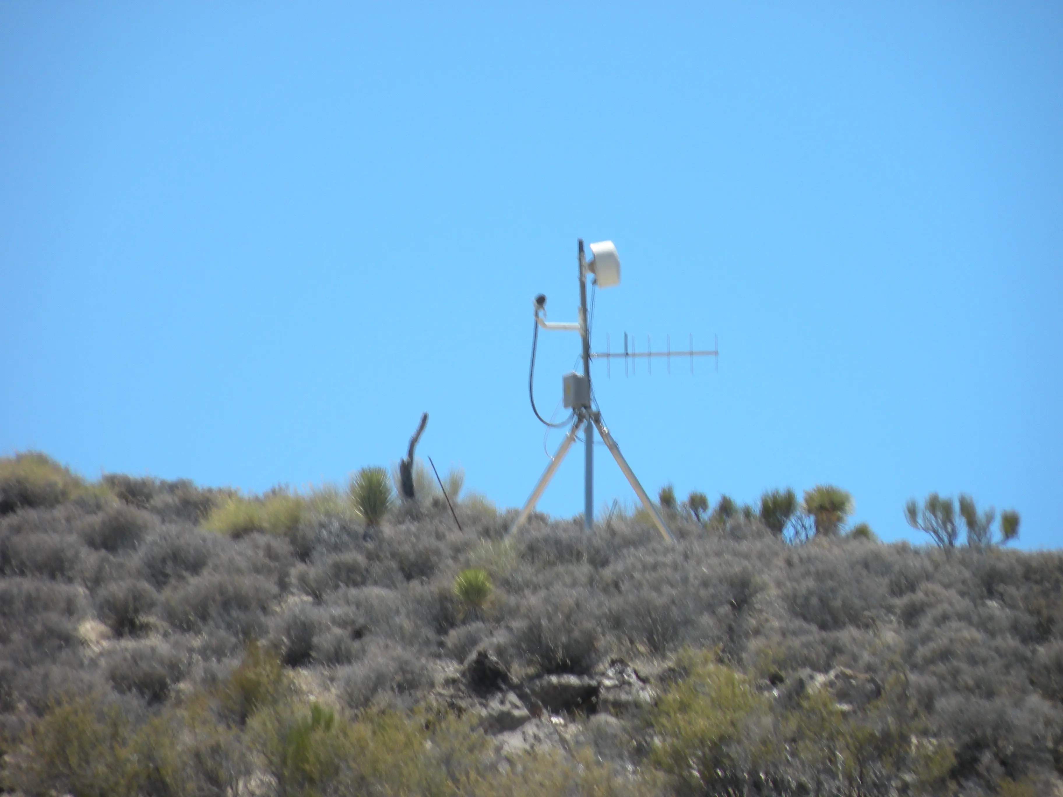 Area 51 mystery deepens: US Secret RAT55 aircraft spotted entering ...