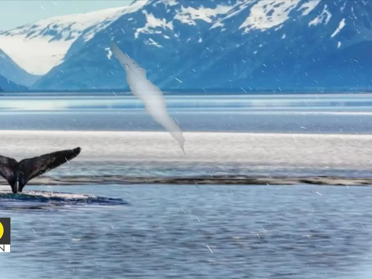 Inside Alaska, once a Russian territory | Decoding America’s Arctic ...