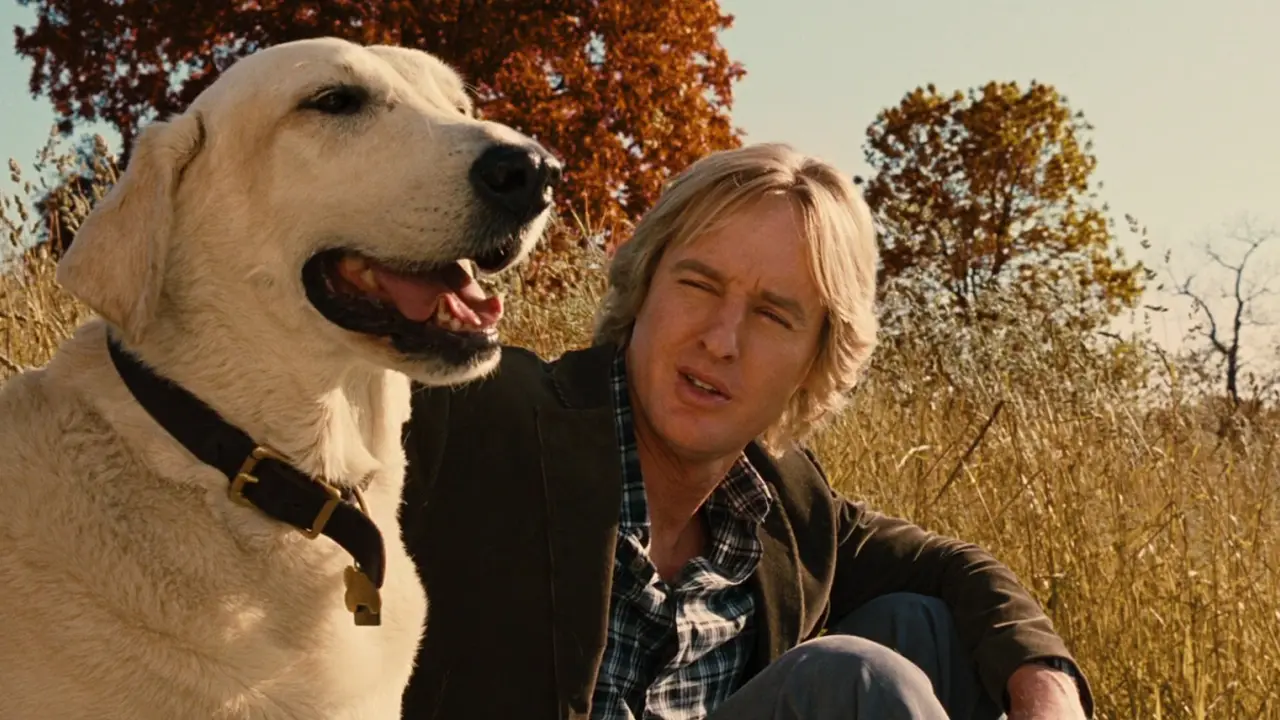 From Hachi to Togo: 10 best dog movies inspired by true events