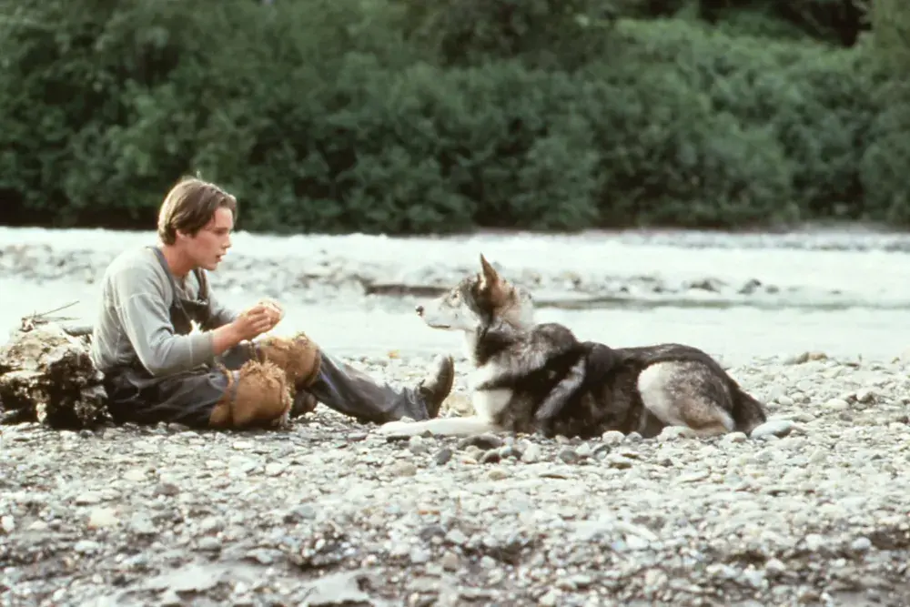 From Hachi to Togo: 10 best dog movies inspired by true events