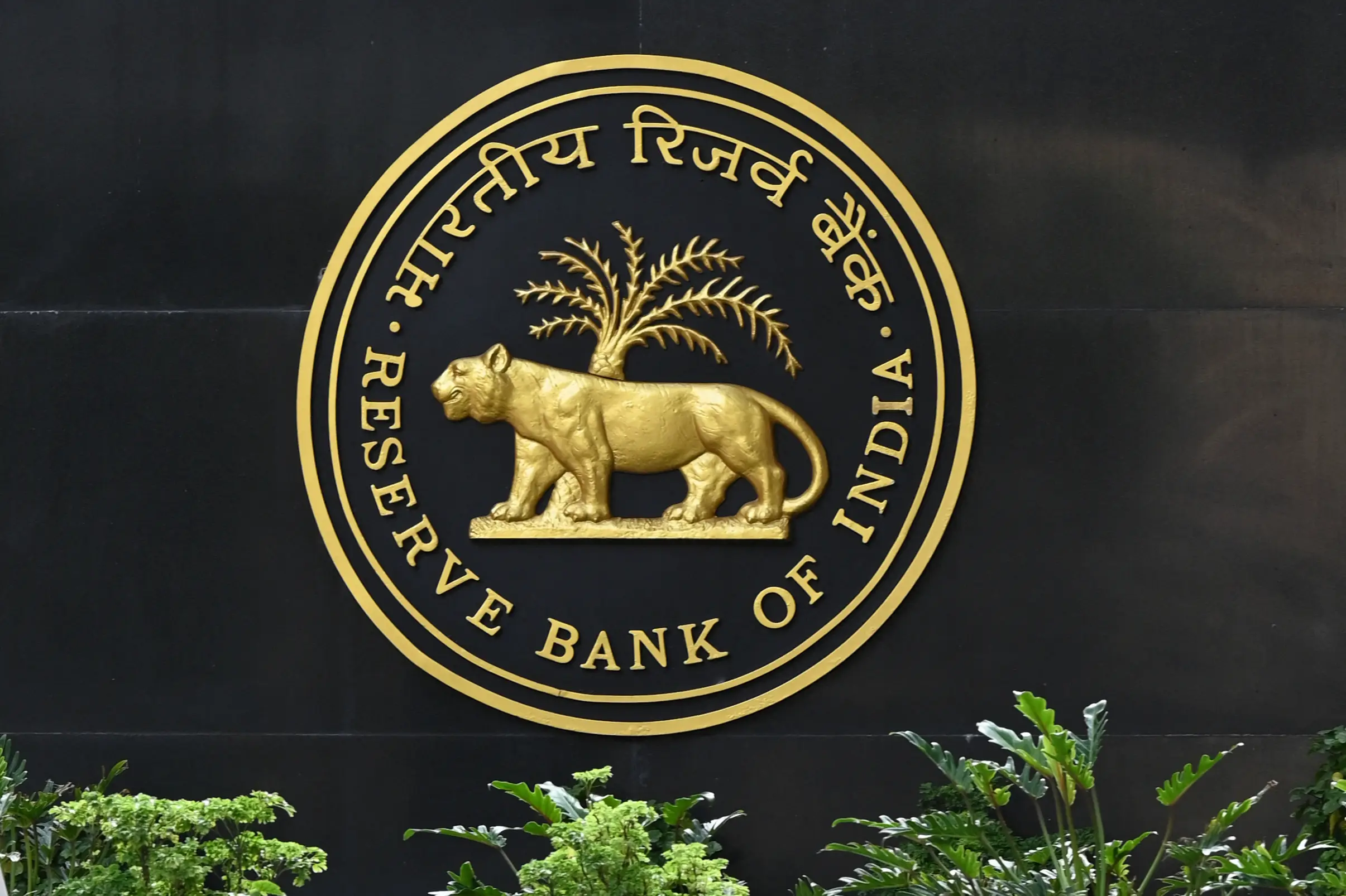 Forex Reserve 2025: Top 5 countries with highest foreign reserves