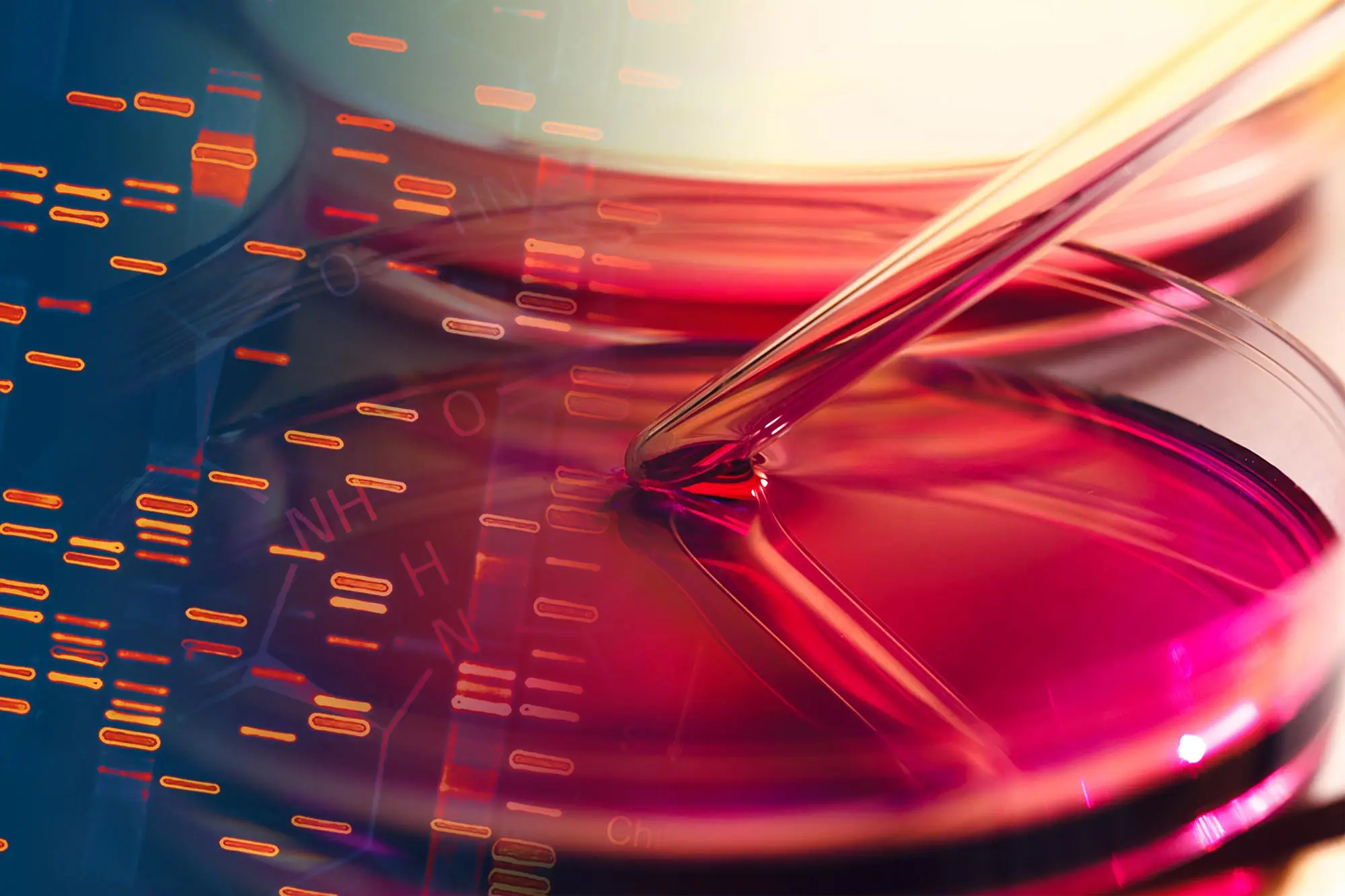 How DNA 3D printing could transform nanotechnology and medicine