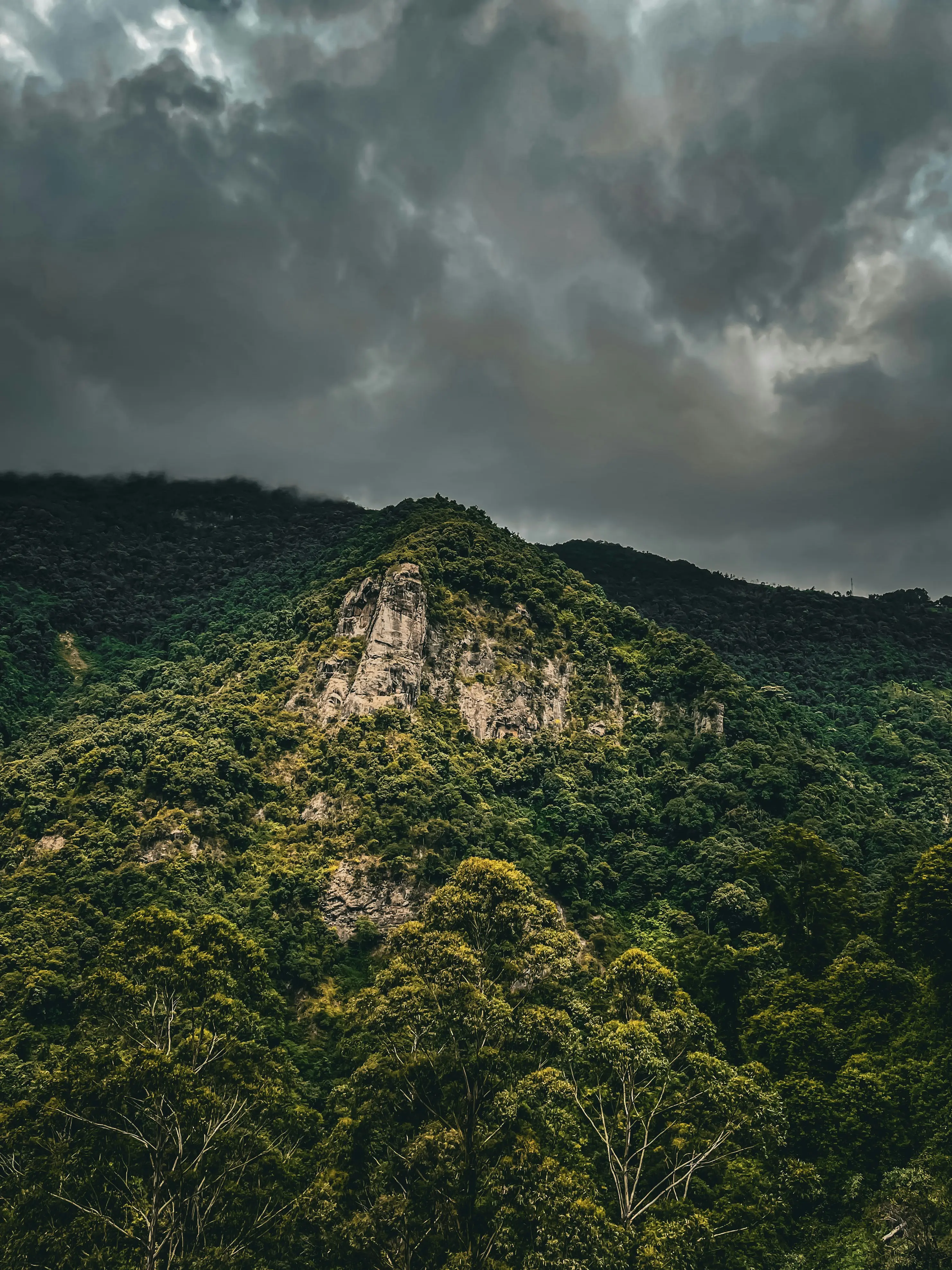 Asia’s top 10 National Parks on the UNESCO World Heritage list you must ...