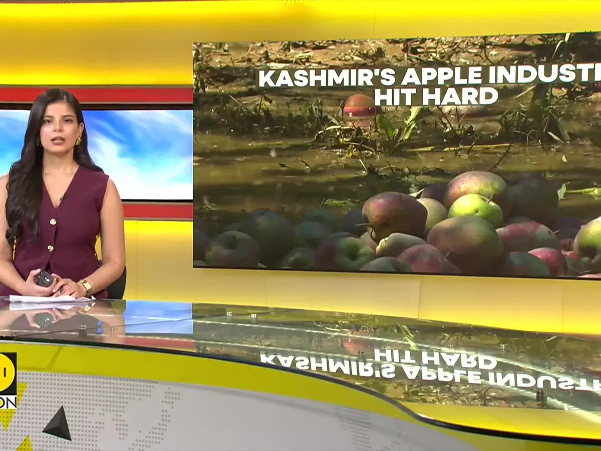 J&K: Apple Orchards Submerged at Harvest Time | Apple Sector Loses $24 ...