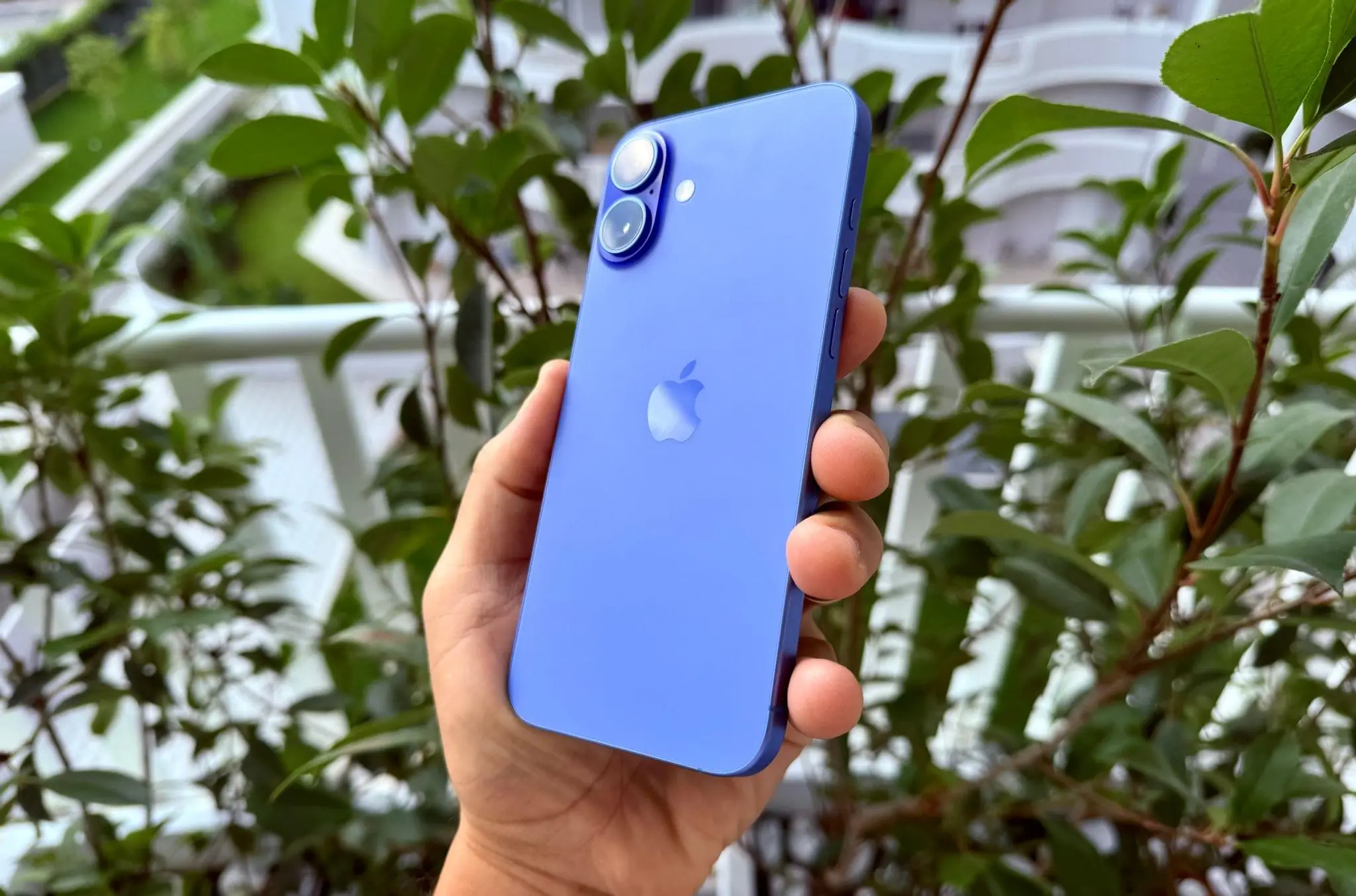 From Teal to Cosmic Orange: 5 unique iPhone colours