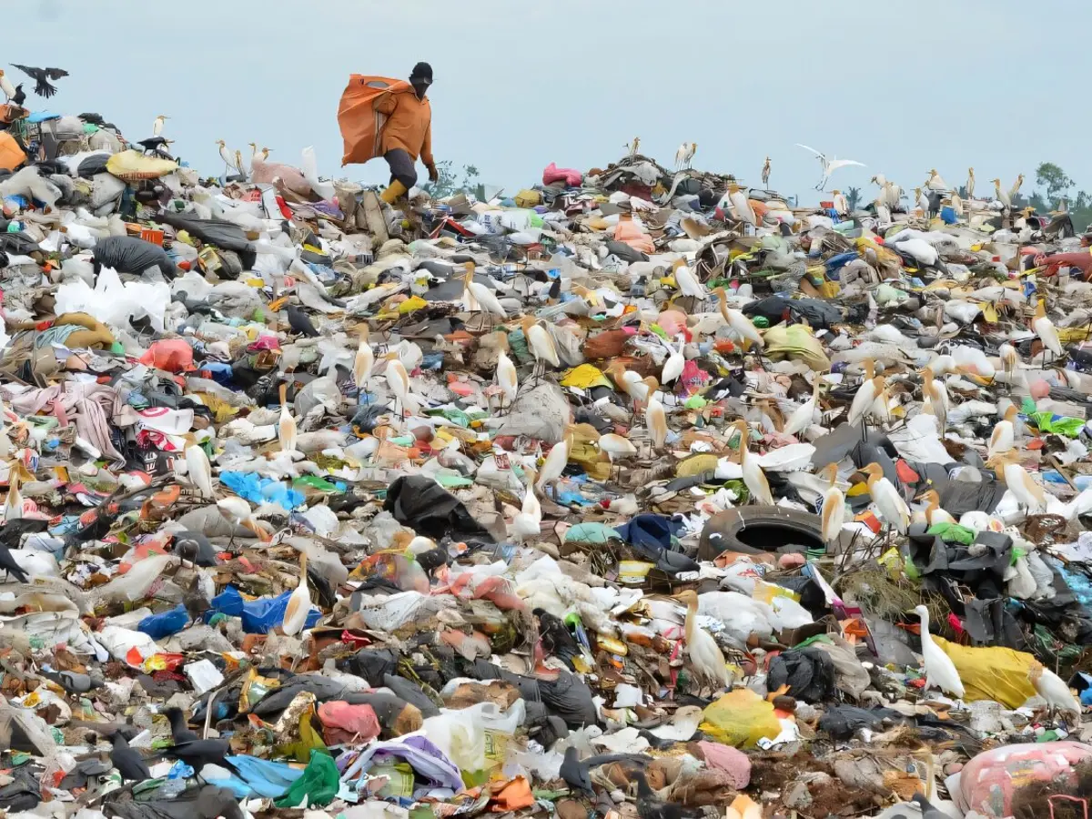 Environmental Health Day 2025: 7 countries with the worst Air Pollution ...