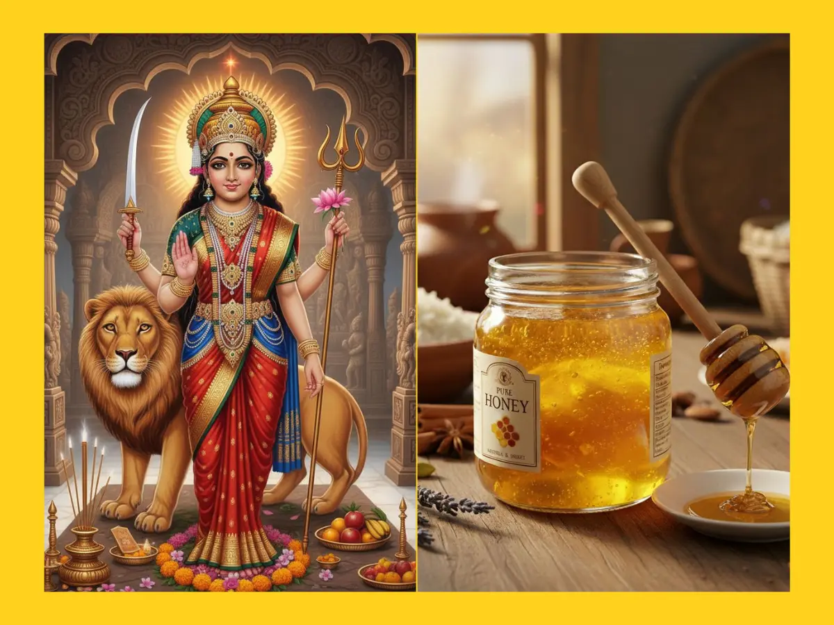 Navratri 2025: 9 Goddesses we worship in 9 Days & what to offer them