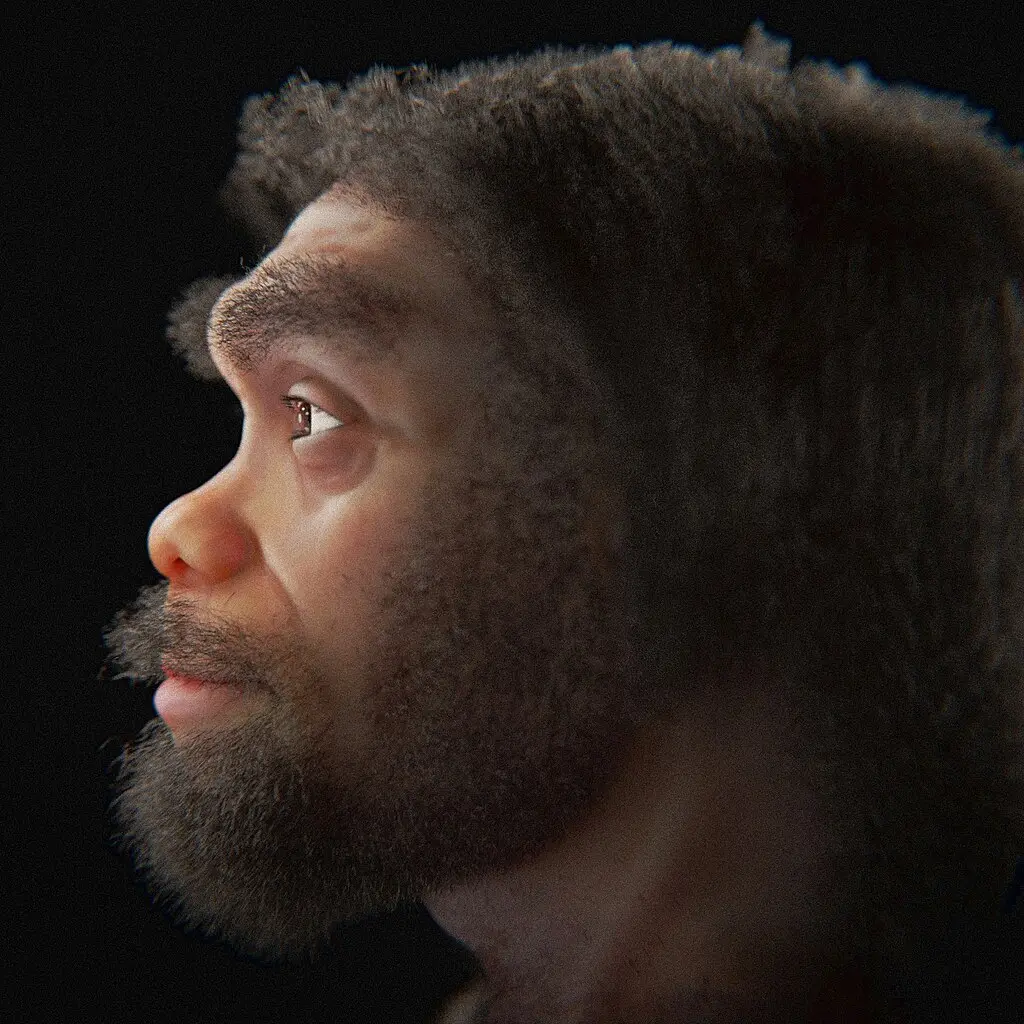 Humans are a million years old, lived in Asia and belong to 'Dragon Man ...