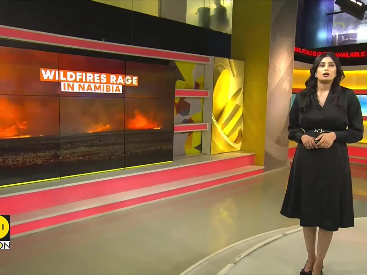 Namibia fires threaten wildlife and habitat in Etosha National Park