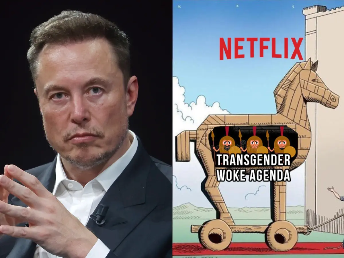 Netflix vs Elon Musk: Streaming giant's shares fall after Tesla CEO's ...