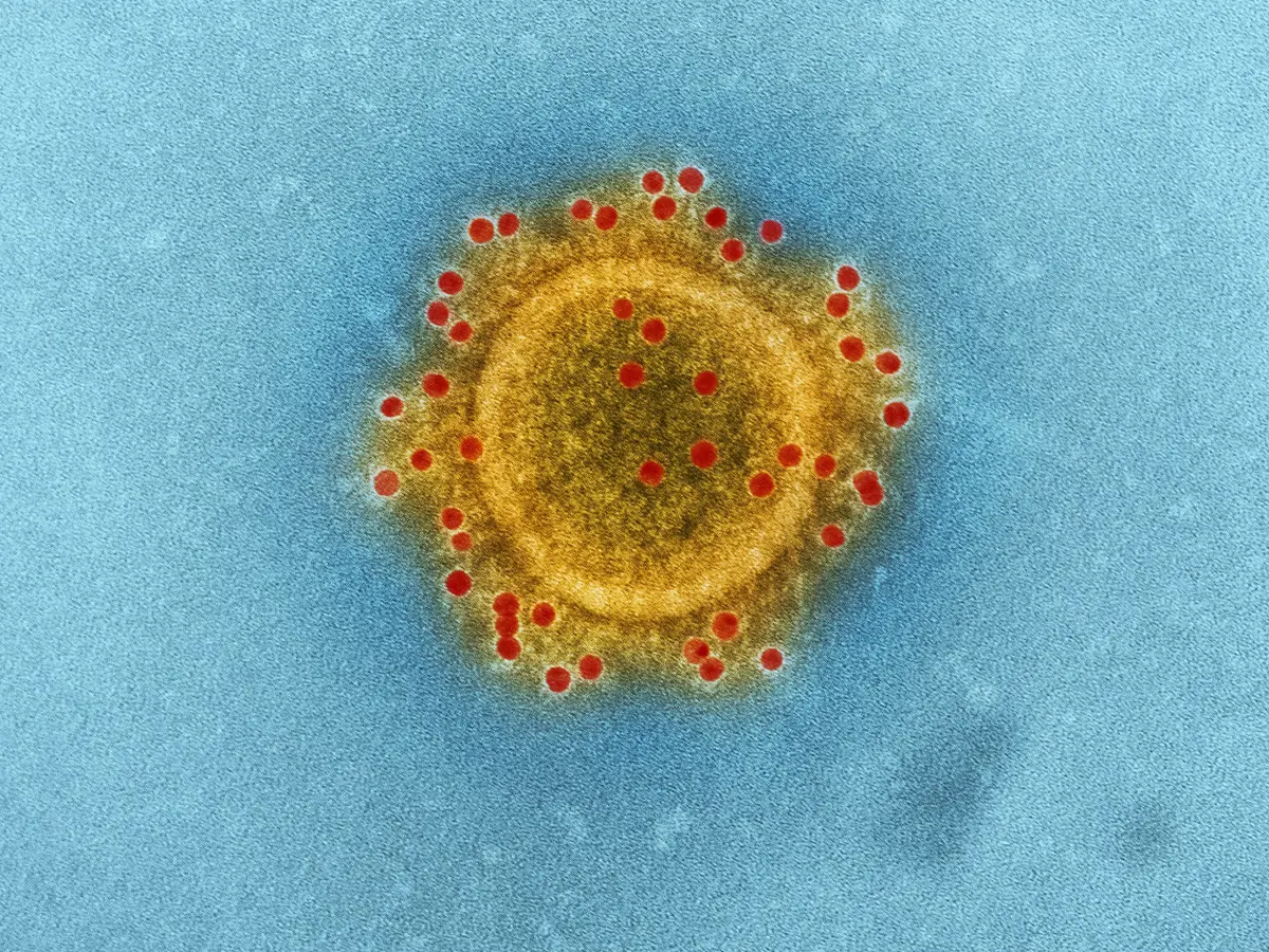 Kerala’s ‘brain-eating amoeba’ scare deepens: 3-year-old latest to be ...