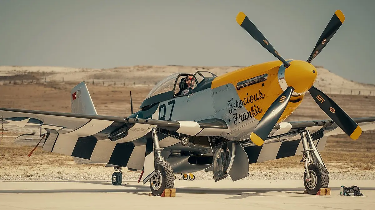 Why fighter jets use special tyres that handle extreme landings