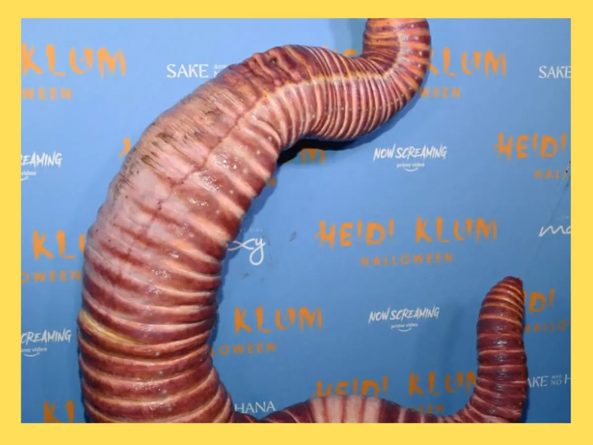 Heidi Klum's Halloween diaries: Human body, worm and zombie