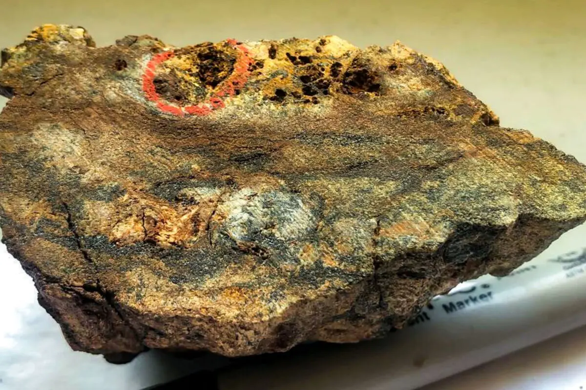 ‘Beyond yellow gold’: 10 countries producing the most white gold in the ...