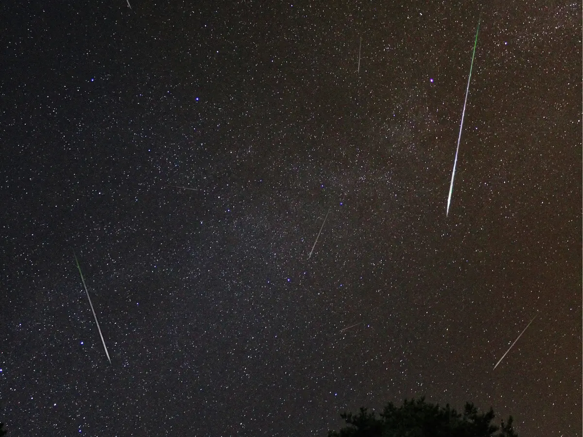 7 celestial events for stargazers in November - Meteor showers, planets ...