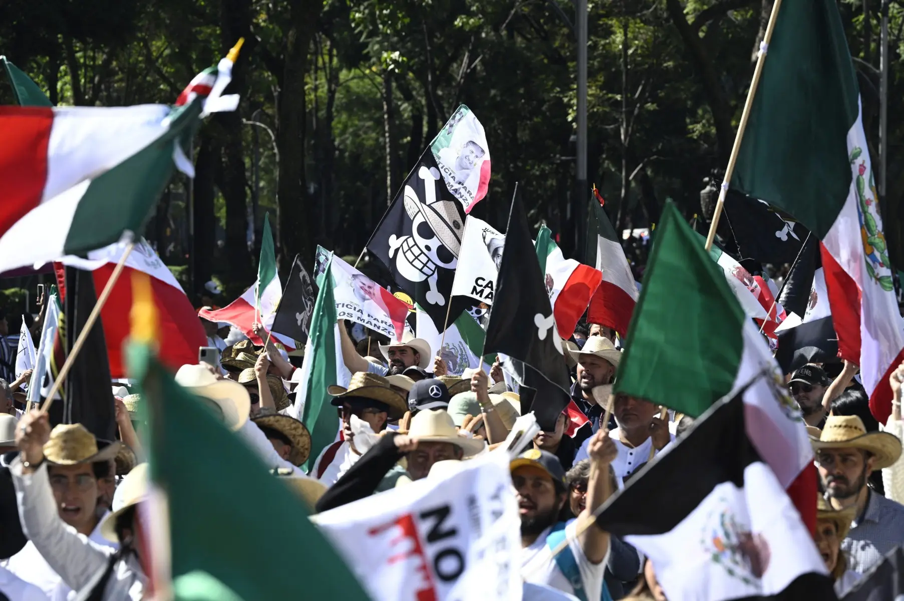 Gen Z protest in Mexico: What is significance of 'straw hat pirate ...