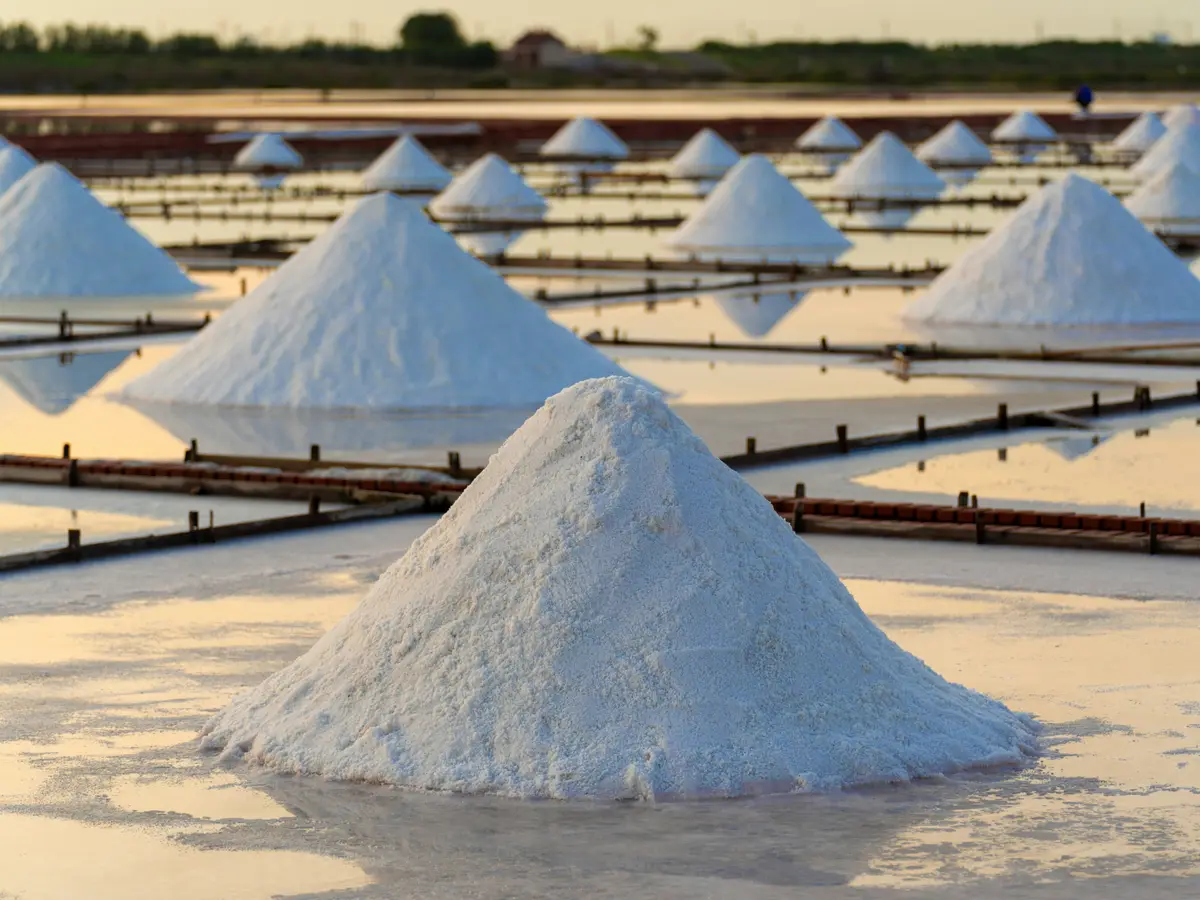 Top 7 countries leading global salt production – Check the full list