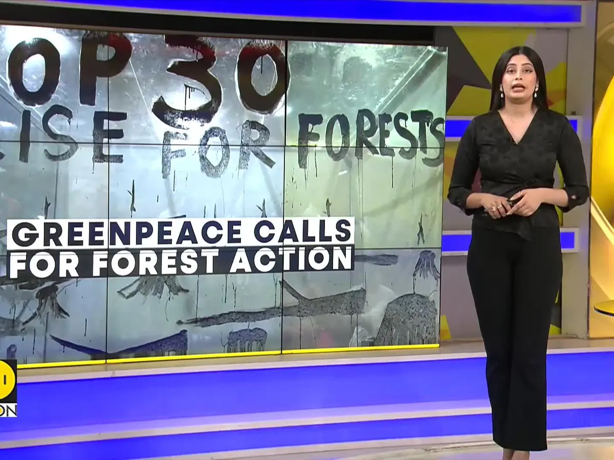 Brazilian Artist Mundano Uses Ashes from Forest Fires to Call for ...