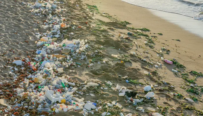 beaches with pollution