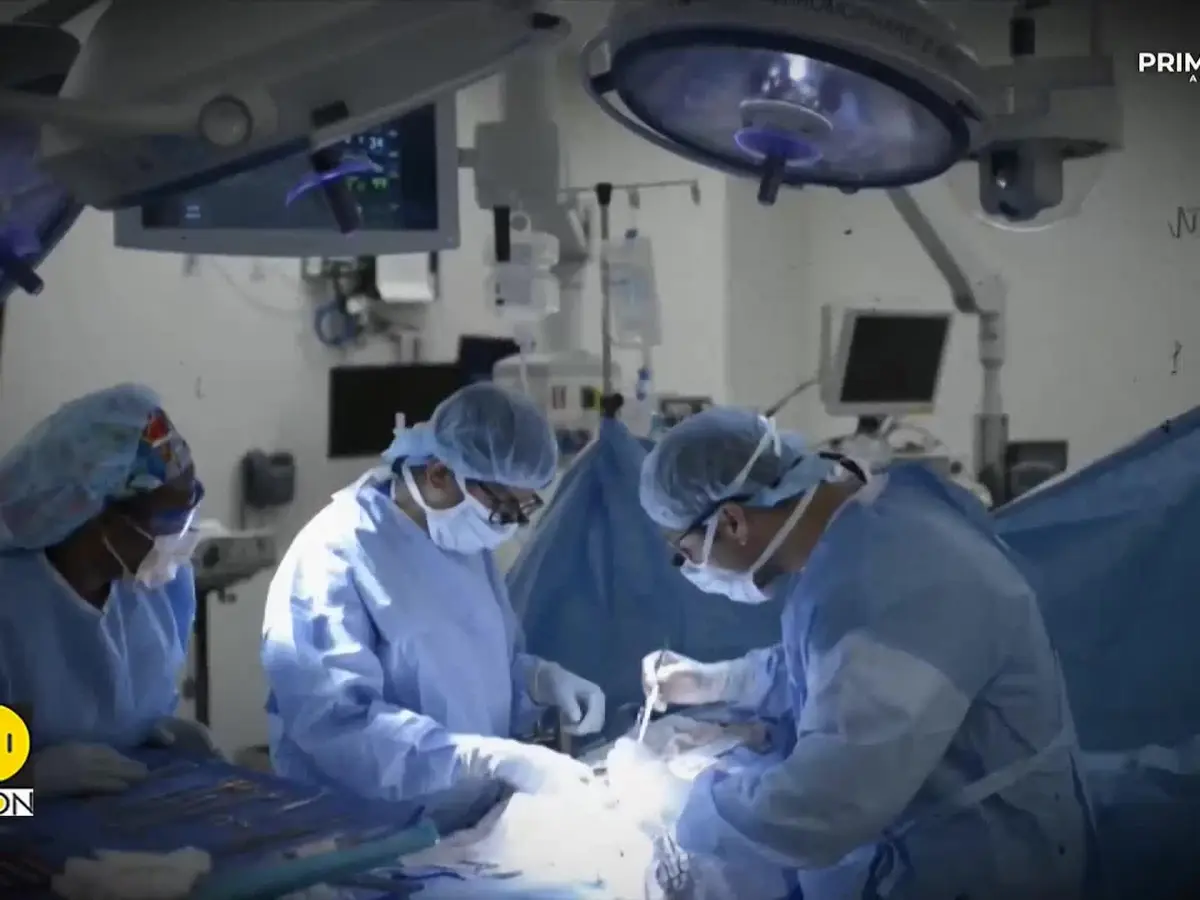 Farmer's high debt helps unravel pan-India organ racket with trails in ...