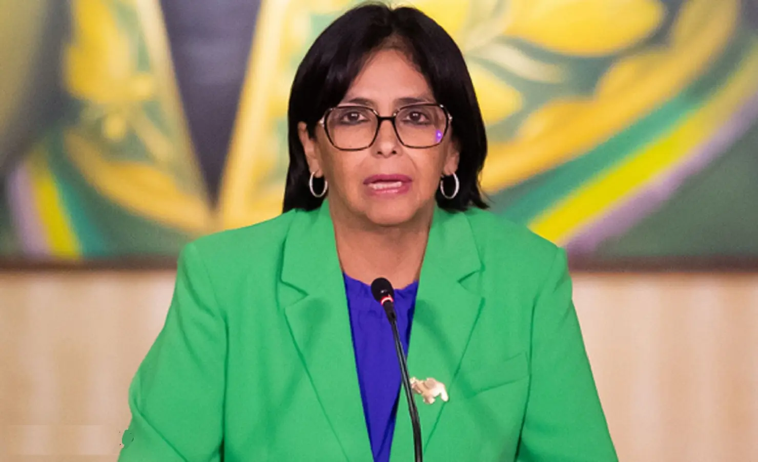 ‘It’s the energy greed of North’: Venezuela’s interim president slams ...