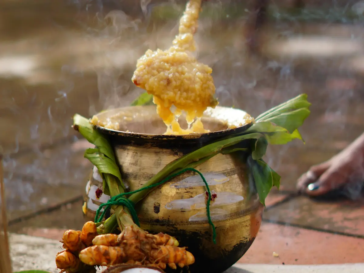 Pongal 2026: 5 quick and delicious festivity delights to try