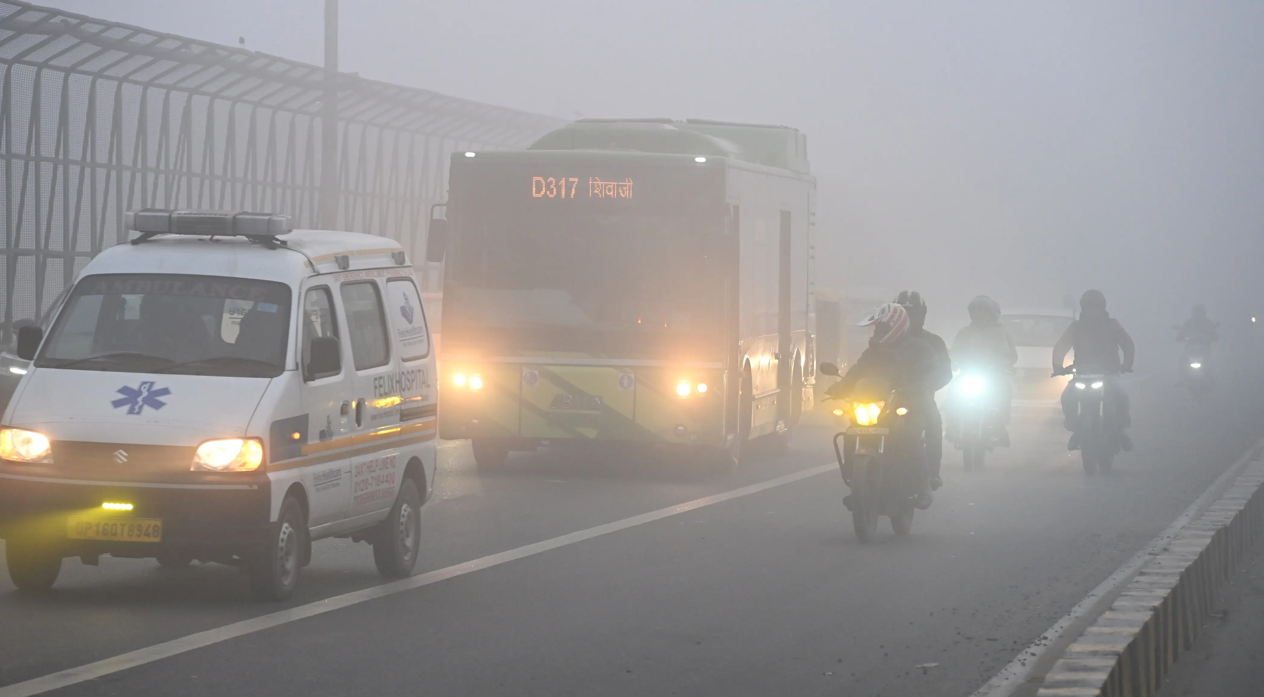 Delhi witnessed over 9,200 respiratory deaths in 2024; birth rate ...