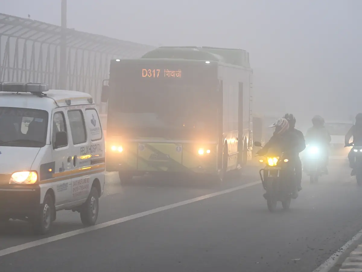 Delhi witnessed over 9,200 respiratory deaths in 2024; birth rate ...