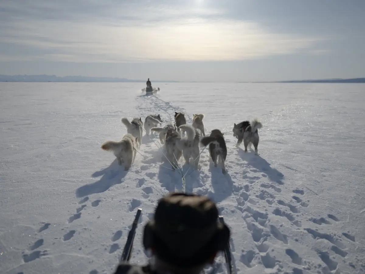 Political row erupts as Greenland dog sled federation disinvites US ...