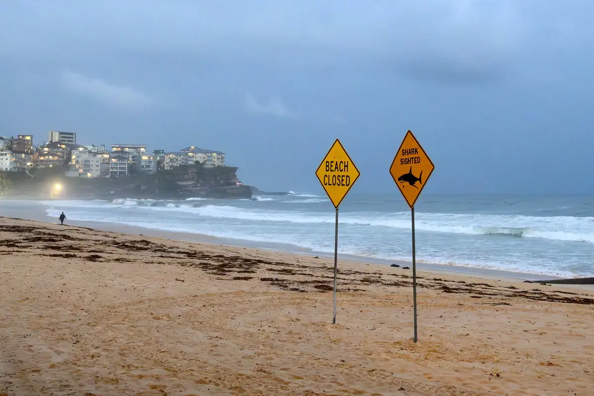Fourth shark attack in 48 hours forces beach closures in Australia’s ...
